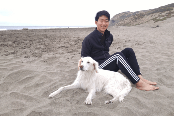 CM-Stephen – The Doyle Group